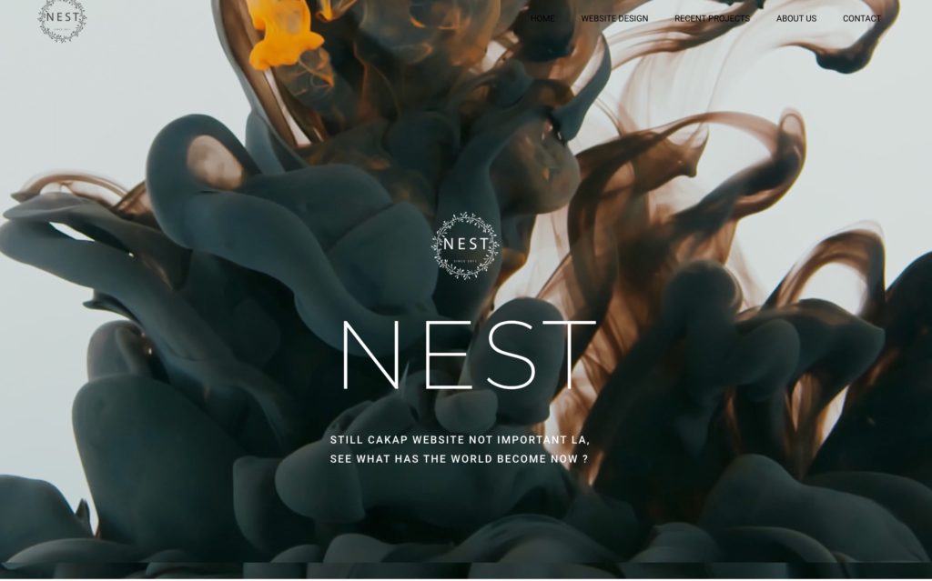 NEST | All Website Projects And Website Portfolio